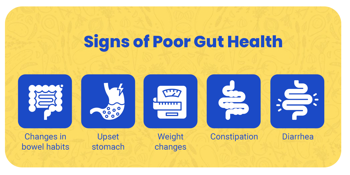 How to Improve Gut and Bowel Health